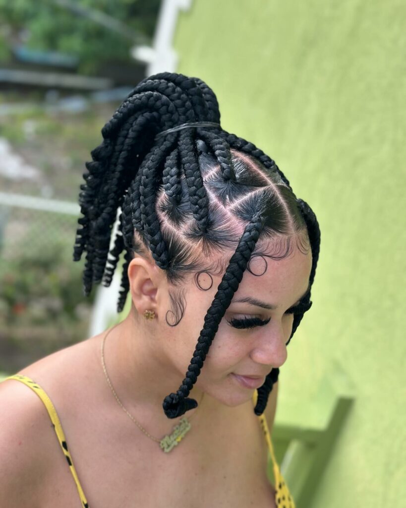 53 Natural Hair Braids Styles | BeautyWayMag