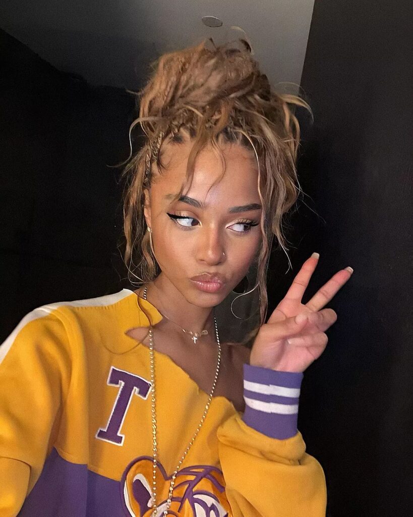 13 Tyla Braids Inspiration You’ll Love | BeautyWayMag